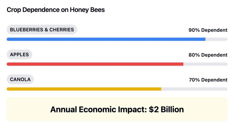 Honey Bees in Canada: Stats, Facts, and Why They Matter