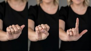 AVLIC (CASLI): Building Bridges with Sign Language Interpreters